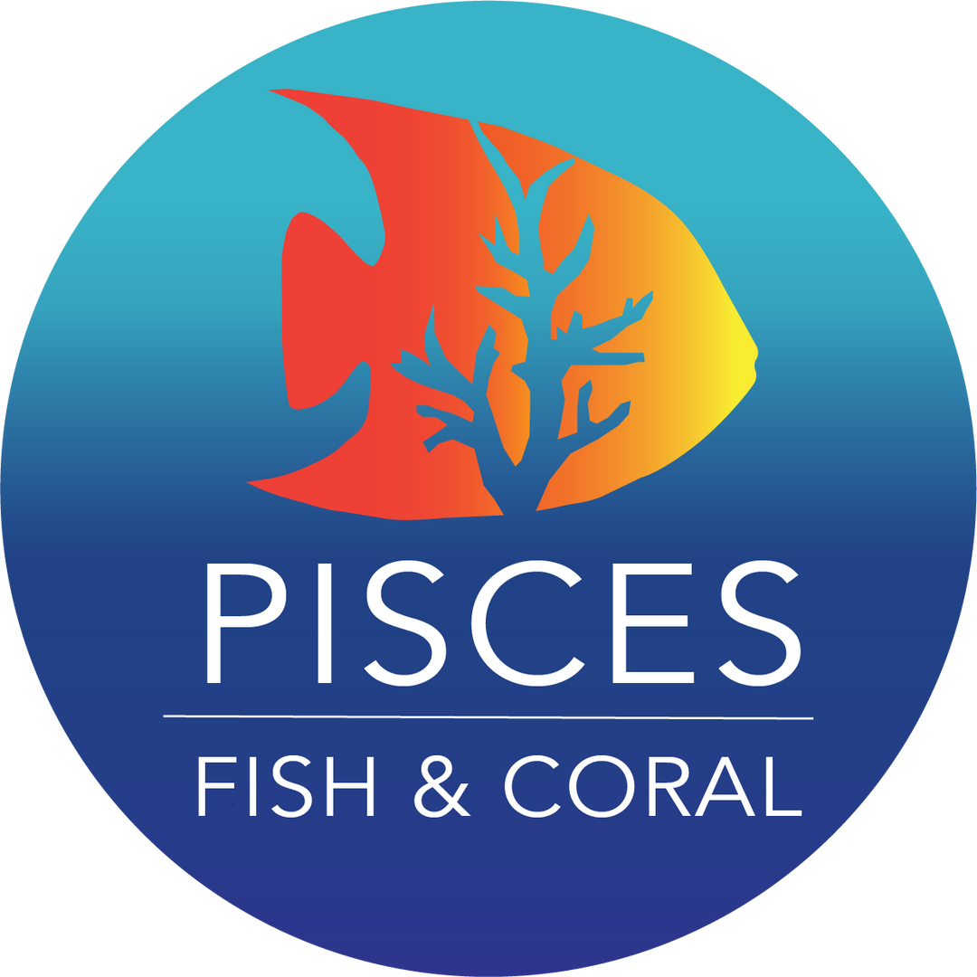 Triggers – Pisces Fish And Coral